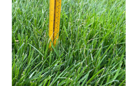 6-Step Lawn Fertilization and Weed Control Program by TurfGrass Experts in Milford, OH - Alignable