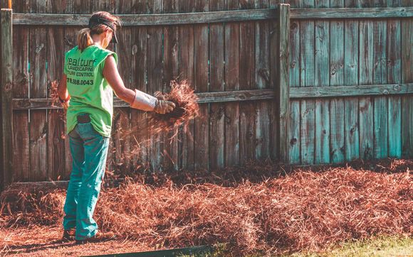 Pinestraw and Mulch Installation by Real Turf Solutions in Fort Valley ...