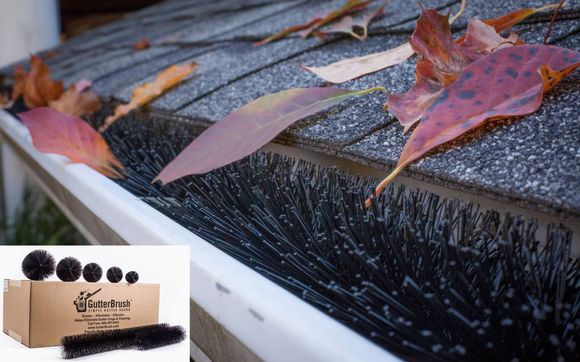 GutterBrush Simple Gutter Guards by GutterBrush Simple Gutter Guards in ...