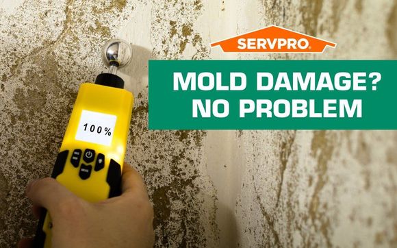 Mold Remediation by SERVPRO of Venice in Venice, FL - Alignable
