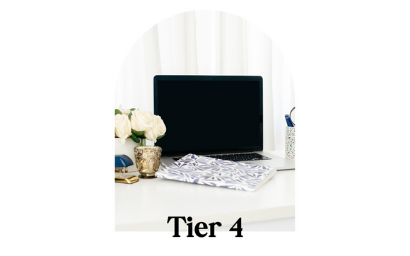 Tier 4 Package by Time Creation Virtual Solutions in Mount Hope Area - Alignable
