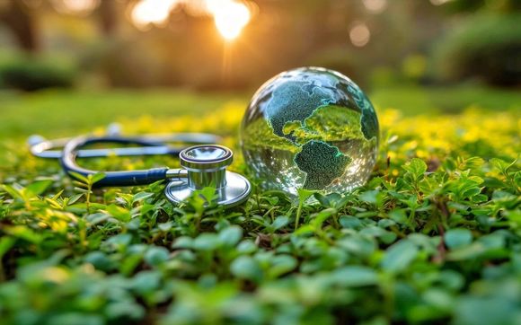 Healthcare Resilience Assessment by Resilient Healthcare Consulting in ...