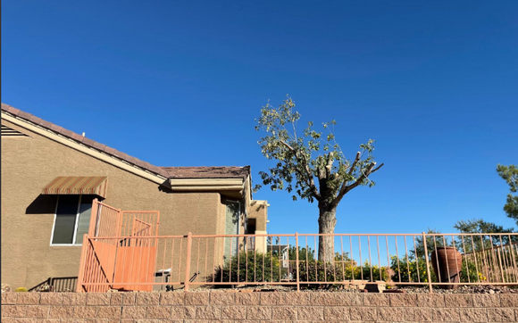 Cutting off Dead branches and branches over the roof. by Benjamin’s ...