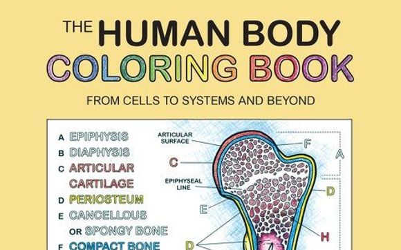 Human Body Coloring Book ...from cells to systems & beyond by Coloring ...