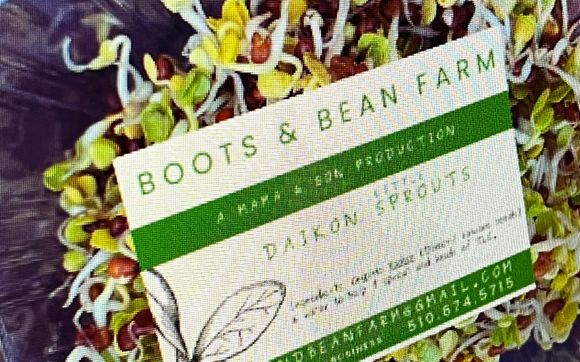 Produce Delivery by Boots & Bean Farm Boise - sprouts / microgreens in ...
