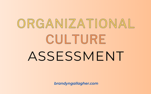 Organizational Culture Assessment by Brandyn Gallagher in Rogers, AR ...