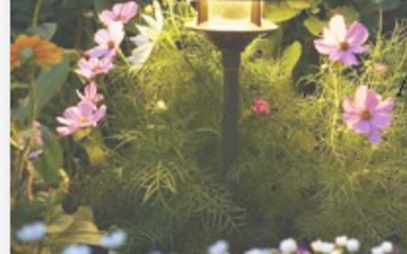 Coaching; assistance; Daily inspirer; Helping you with awesome ideas to ...