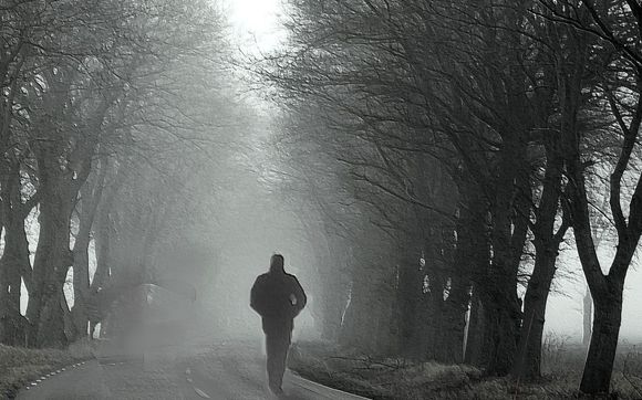 Coreopsis Autumn 2024: Walking Another Path by Coreopsis A Journal of ...