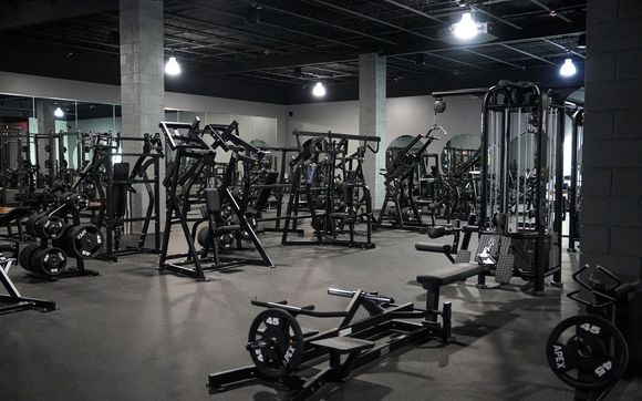 Gym in La Porte by APEX in La Porte, TX - Alignable