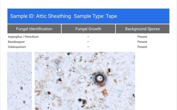 Comprehensive testing and Solutions recommended. by Elite Indoor Air ...