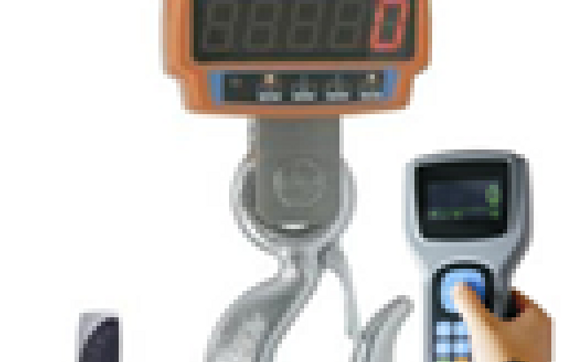 Portable Load Scales For Cranes by Light Duty Crane Operator ...
