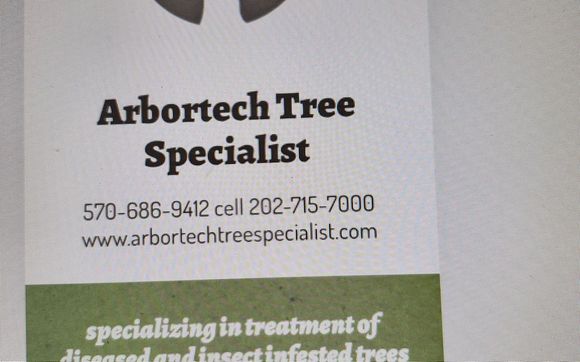 Treatment of insect infested trees/spraying for Spongy Moth insect ...