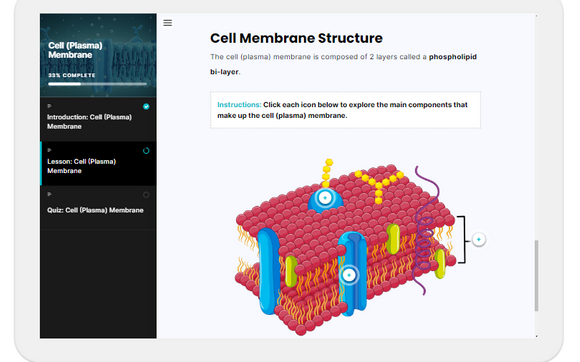 Articulate Rise 360 Course Development by Instructional Designs in ...