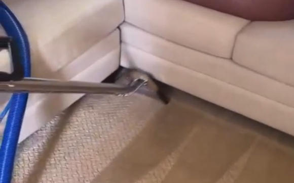 Carpet Cleaning by Cp.Vip Cleaning Services LLC in Tampa, FL - Alignable