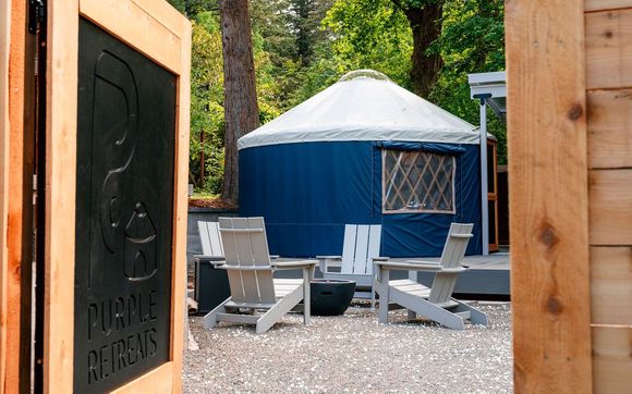 Psilocybin Retreats in Portland, OR by Purple City Retreats, Tree of ...