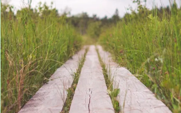 Your Transformational Parenting Path by Restorative Parenting in ...