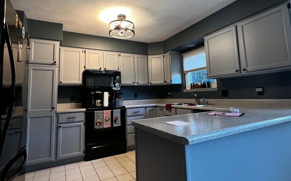 Rockin Roll Painting - Davenport, IA - Alignable