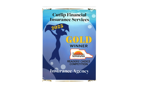 Travel Insurance by Cutlip Financial Insurance in Spring Hill, FL ...