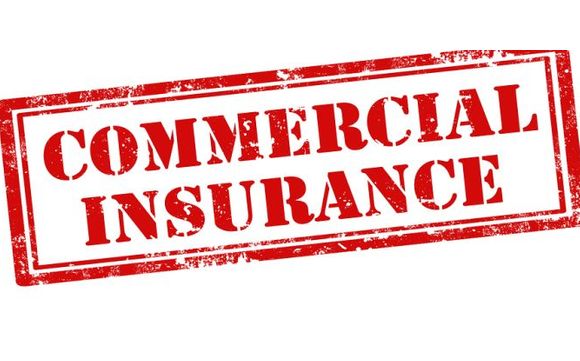 Commercial Insurance by Silver Star Insurance Group in Zionsville, IN ...