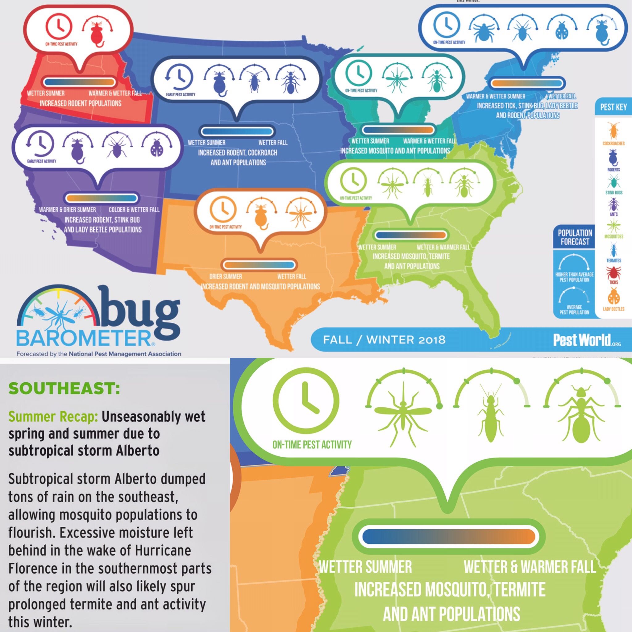Do you know which bugs are coming indoors soon? - Alignable