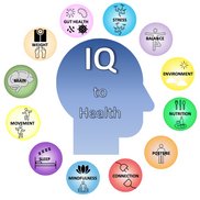 IQ to Health's response to which is better for the brain?