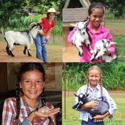 Animal Camp by Kauai Animal Education Farm in Kapaa, HI - Alignable