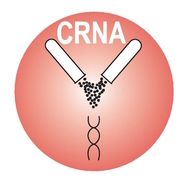 Corio PSP (Coriolus Versicolor) by Canada RNA Biochemical Inc. in ...